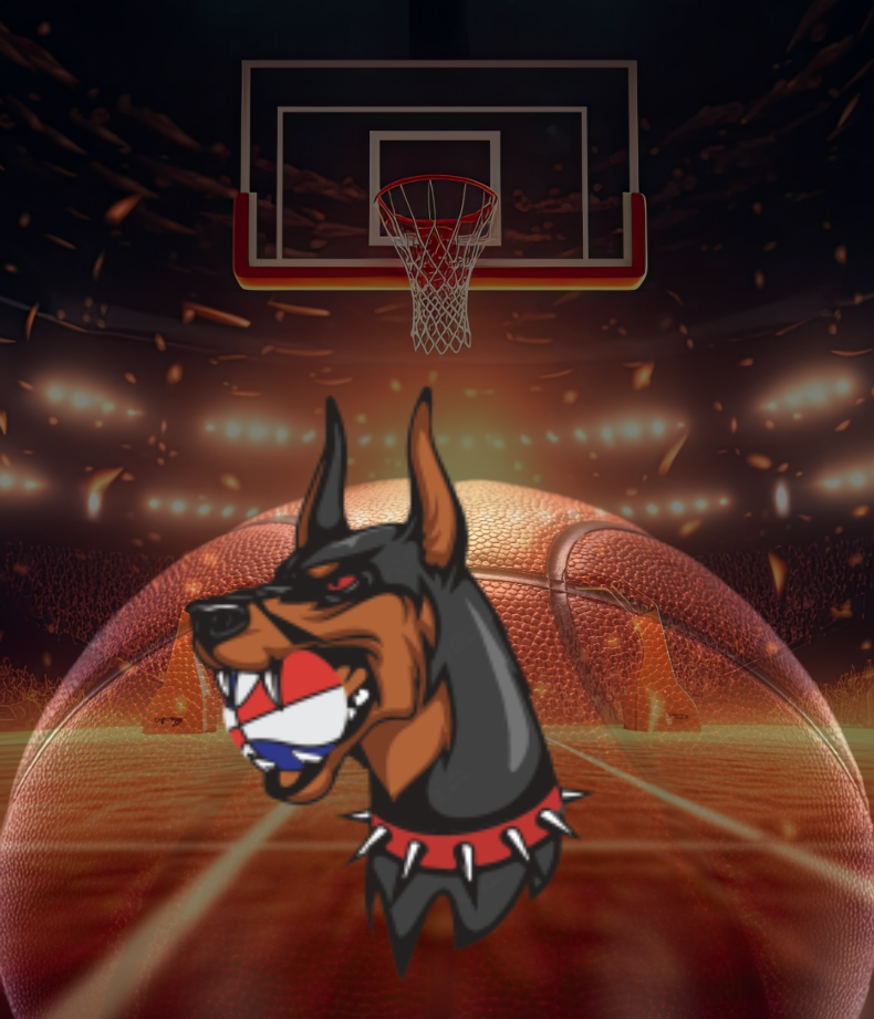 IE Hounds – Professional Basketball Team